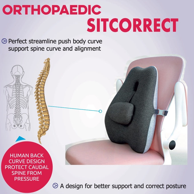 SitCorrect Orthopedic Backrest Lumbar Back Support – Grin Health
